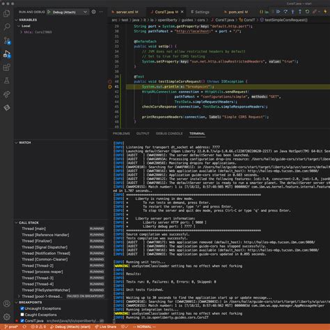 Debugging Tests Through This Plugin · Issue 108 · Openlibertyliberty