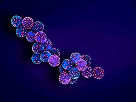 Research Groups Icb Projektplattform