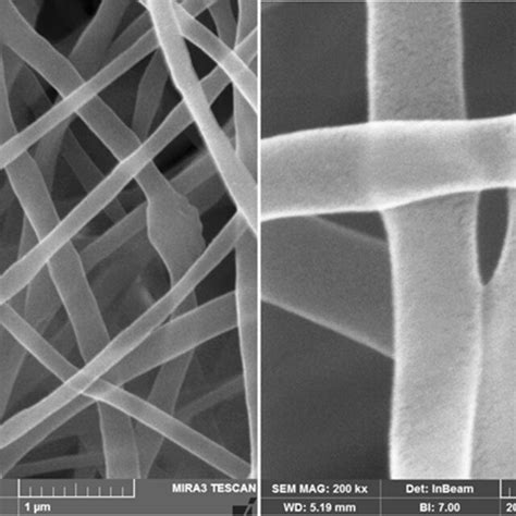 Effects Of A Ph Of Donor Phase Sample Solution B Ph Of Acceptor Download Scientific