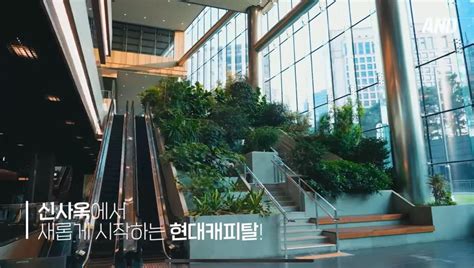 Hyundai Capital Australia Posted On Linkedin