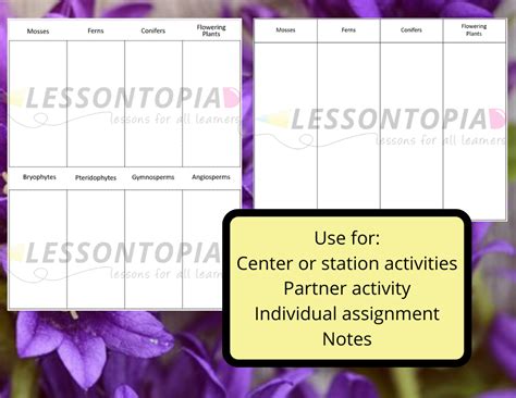 Plants Classification Card Sort Classful