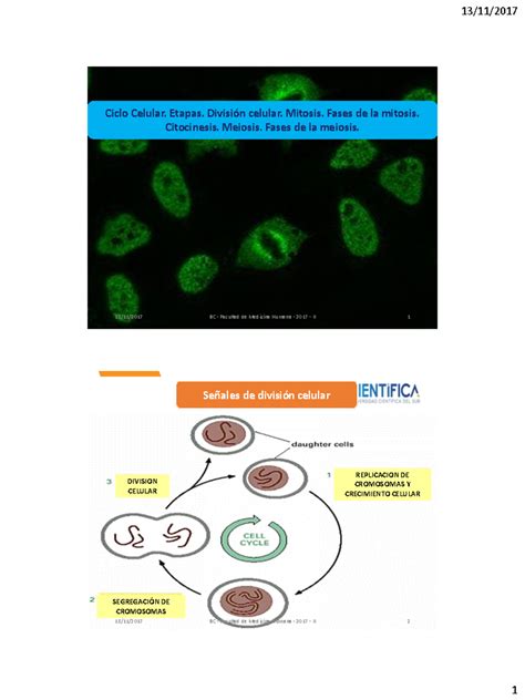 Bc Control De Ciclo Celular 2017 I Warning Tt Undefined Function 32 Warning Tt
