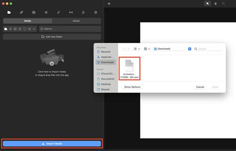 How To Import Lottie Files Create Studio Support Desk