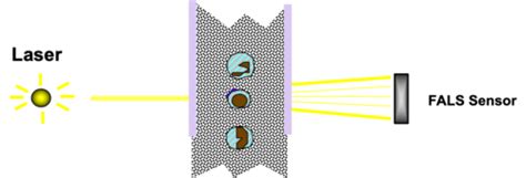 Lecture 15a Flow Cytometry Flashcards Quizlet