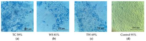 Metals Special Issue Surface Modification Of Metallic Biomaterials