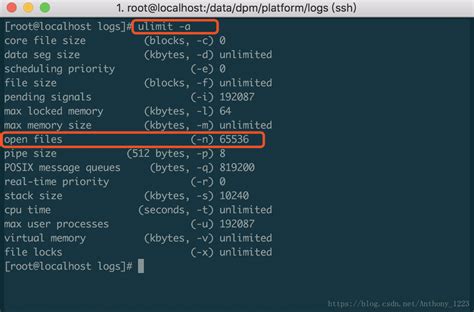 Linux异常 java io IOException 打开的文件过多 kelelipeng 博客园