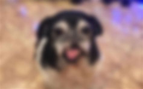 სავარაუდოდ პირში აუფეთქეს ასაფეთქებელი ძალიან რთული მდგომარეობა გადალახა ნახეთ რა