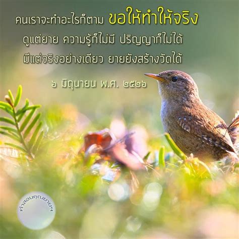 คำคมยายๆ ทำอะไรก็ตาม ขอให้ทำให้จริง คำสอนคุณยาย