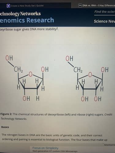 Biology Chapter 11 Test Flashcards Quizlet