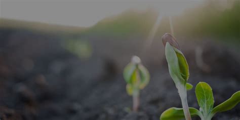 How To Measure And Reduce Your Ecological Footprint