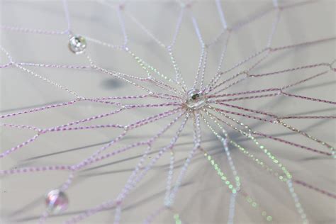 Artist Mandy Ma Wing Man At Wyndham Social — Galleries Gal