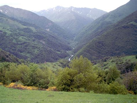 საქართველოს დაცული ტერიტორიები ლიახვის ნაკრძალი