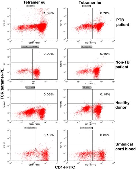 Flow Cytometric Analyses Of Pmbcs Stained With The 2 Tcr Tetramers Download Scientific Diagram