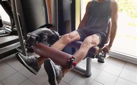 The 9 Best Lying Leg Curl Alternatives Updated 2025 The Fitness Blog
