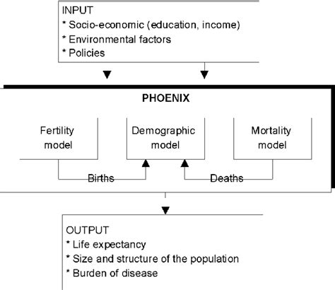 Overview Of The Population And Health Model Developed By Rivm And The