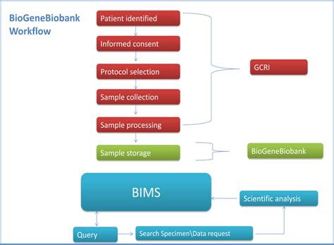 1 Biogene Biobank Workflow Download Scientific Diagram