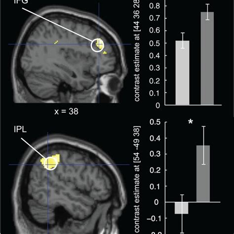 Results Of The Fmri Roi Analysis For The Ostensive Condition Left