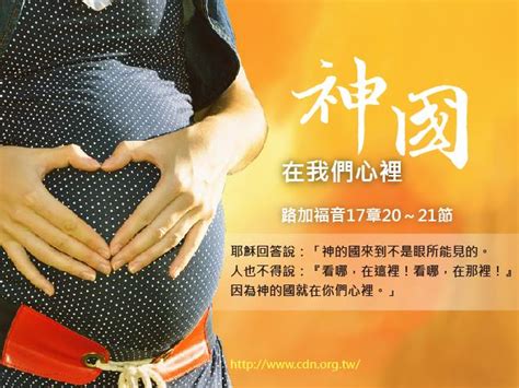 圣经与传经之旅我的受造奇妙可畏