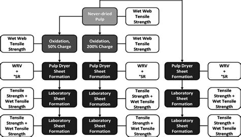 Schematic Description Of The Sheet Forming Procedure Download Scientific Diagram