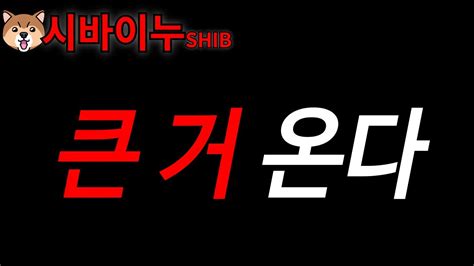 🔵시바이누🔵엄청 큰 거 옵니다 코인시세 비트코인하는법 가상화폐 비트코인 비트코인시세 이더리움시세 리플시세 리플전망 시바이누코인 Youtube
