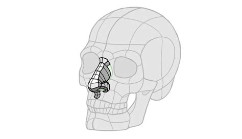 How To Draw A Nose Envato Tuts