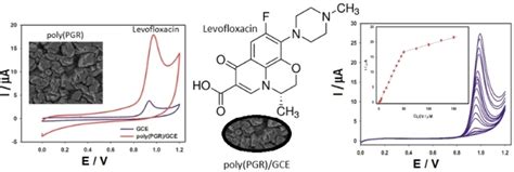 Electrochemical Determination Of Levofloxacin Using Polypyrogallol Red