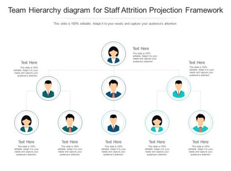 project team hierarchy slide team