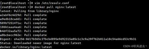 Docker Pull Nginxerror Response From Daemon Head “registry 1
