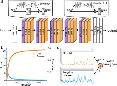 Deep Learning Based Sers For The Diagnosis Of Sars Cov 2 A The Download Scientific Diagram