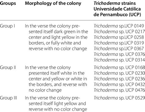 Trichoderma Classification Of Thirteen Strains Isolated From Mangrove Download Scientific