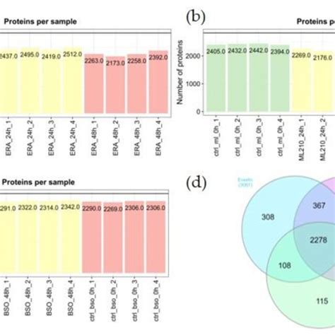 Proteome Data Overview A Number Of Detected Proteins Across