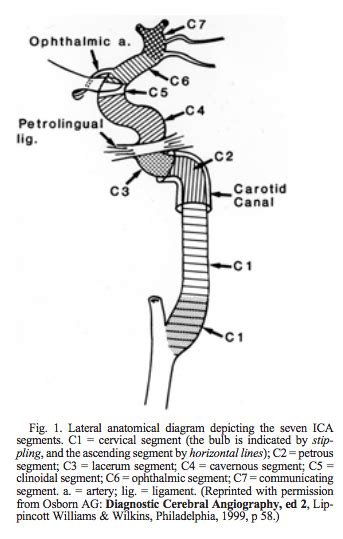 Ten Things That I Learned Today