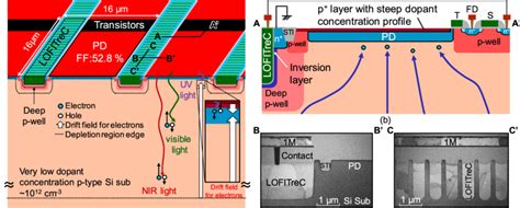 Pixel Cross Sectional Diagrams Of The A Pixel Array And B Line A A Download Scientific