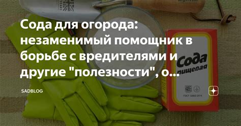 Сода для огорода незаменимый помощник в борьбе с вредителями и другие полезности о которых