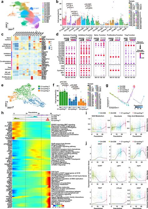 Single Cell Sequencing Of Ascites Fluid Illustrates Heterogeneity And