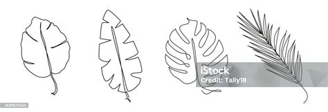 트로피컬은 한 줄 그리기를 남깁니다 열대 야자수 잎의 연속 선 그리기 단 하나 1 선 이국적인 야자수 잎 외곽선 스케치를