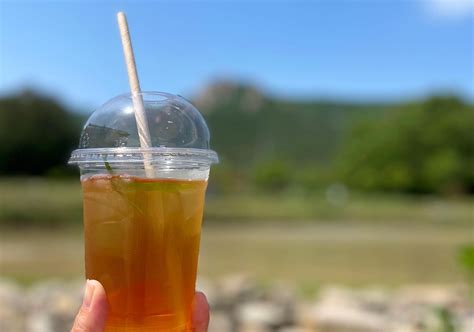 이주영 얼음 동동 띄운 백운옥판차 차한잔 들고 다원 산책 🍃 일반 녹차의 쌉쓰레한 맛 대신 고소하고