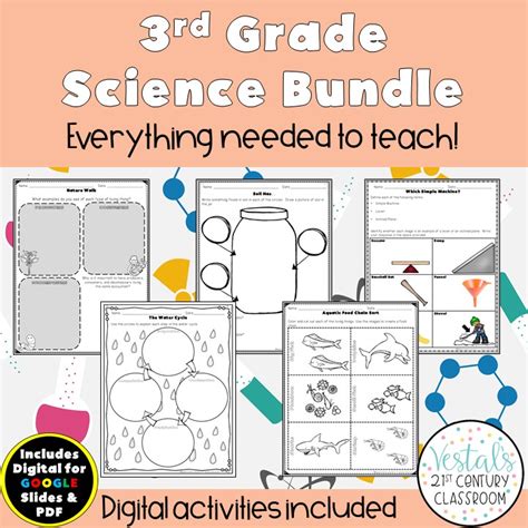 third grade science lesson