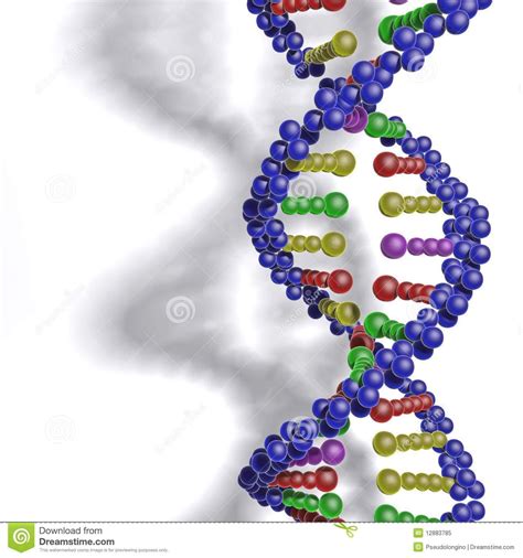 Compass Total Wellness Dna Analysis