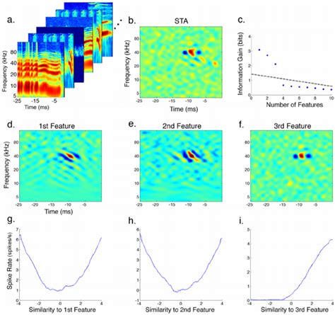 Extracting The Most Informative Features And Their Static Nonlinearity Download Scientific Diagram