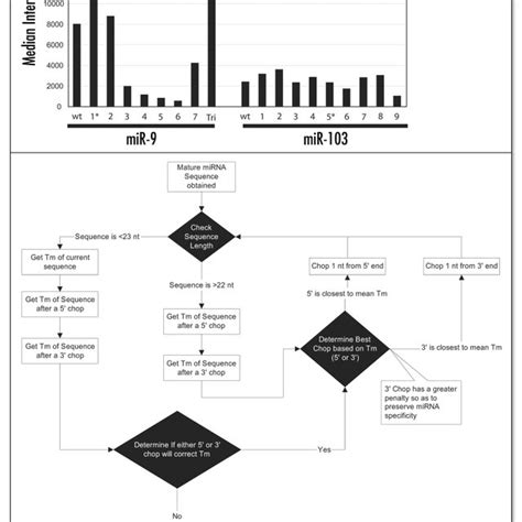 Probe Design Algorithm A Evaluation Of Probe Design Algorithms Test