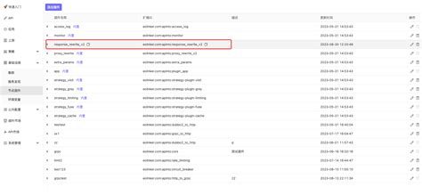 响应重写v2 Apinto