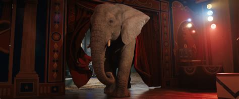 The One And Only Ivan Ruby