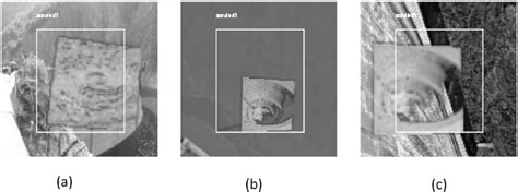 Detections Made By The Yolo Object Detector Figures A B And C Download Scientific