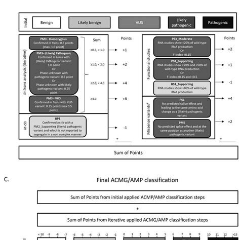 Distribution Of Acmgamp Classifications Among Different Types Of