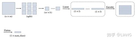 基于Vision Transformer实现图像识别第二篇 知乎
