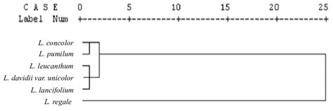 Dendrogram Plot Visualizing The Clustering Of The Bulb Extracts From Download Scientific