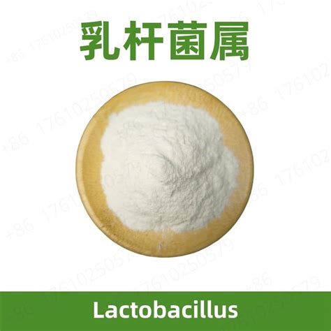 Lactobacillus Helveticus Chinese Food Additives Supplier