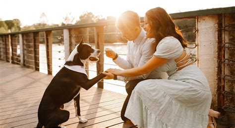 Layane Thuise And Charles Mesters Wedding Website