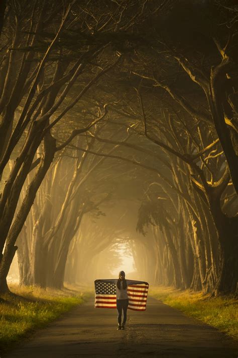 바구니를 들고 양쪽에 나무가 있는 길을 걷는 사람 사진 Unsplash의 무료 갈색 이미지